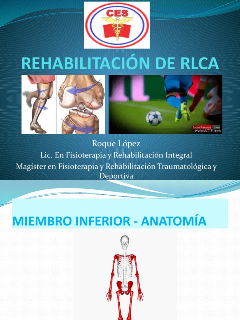 Presentación 0.2 - de RBT de Rlca | PDF | Rodilla | Tejido suave