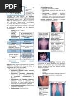 Lesiones Dermatologicas Primarias y Secundarias | PDF | Piel | Epidermis