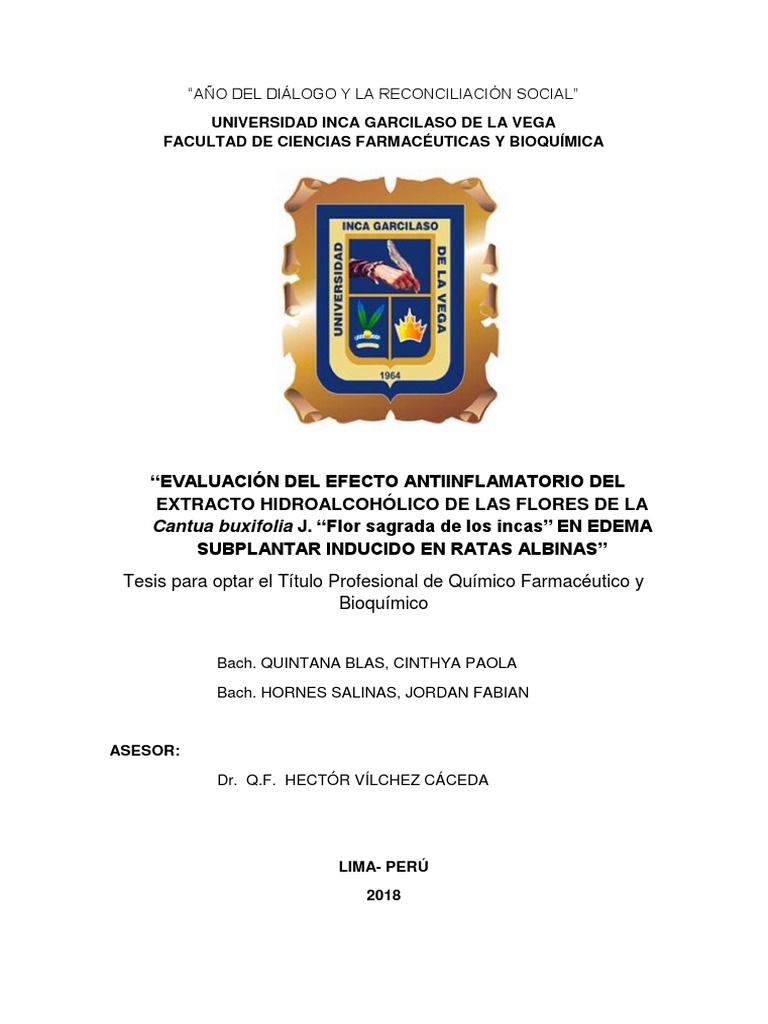 Tesis - Quintana Blas, Cinthya Paola - Hornes Salinas, Jordan Fabian ...