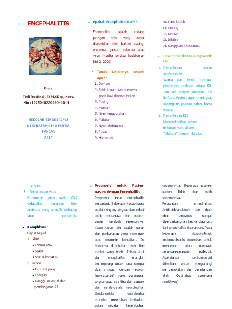Leaflet Encephalitis | PDF