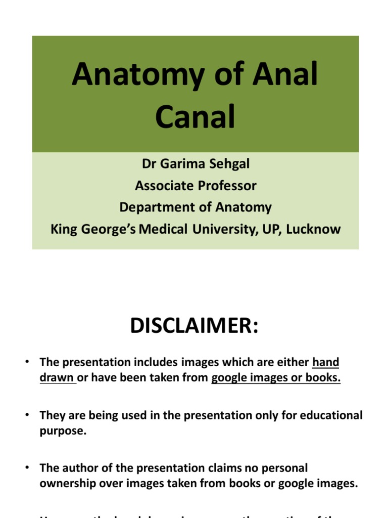 Anal Canal | PDF