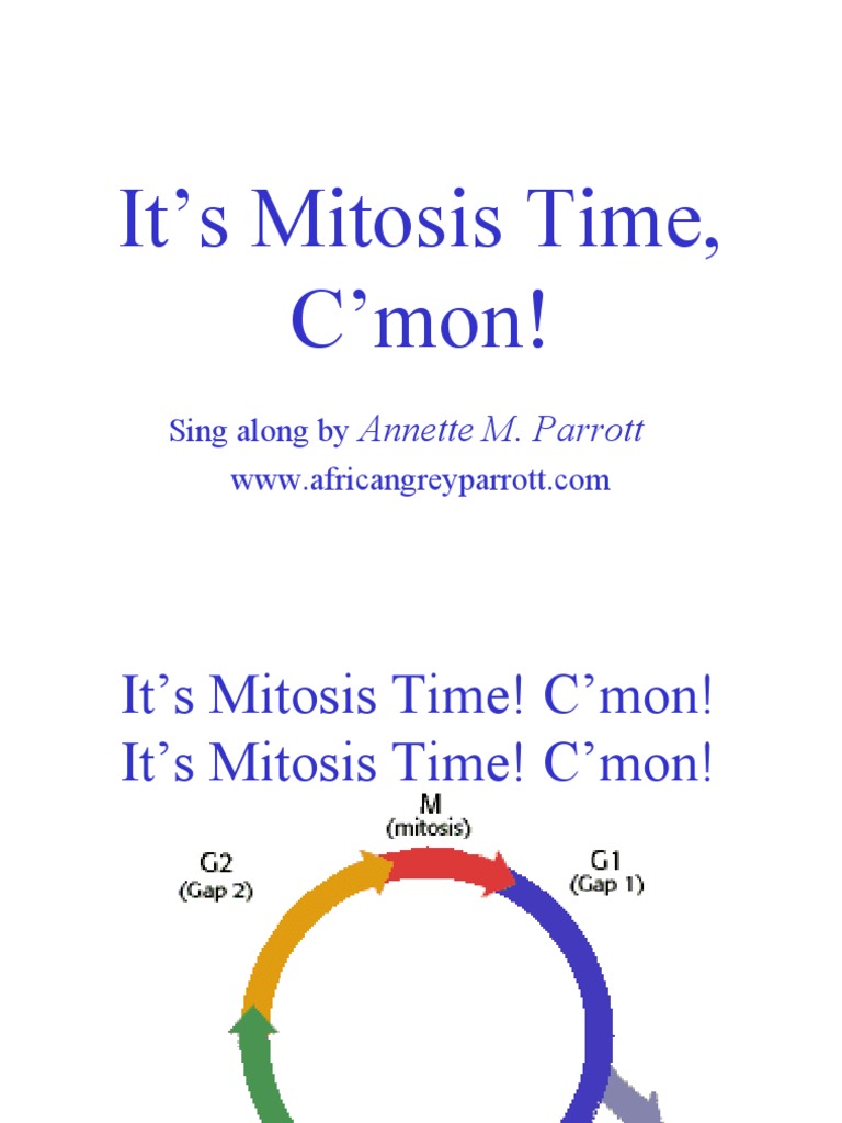 Its Mitosis Time | PDF | Wellness | Science & Mathematics