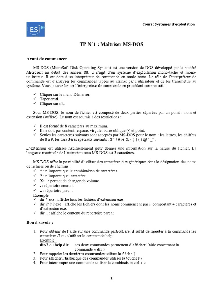 TP1 MSDos | PDF