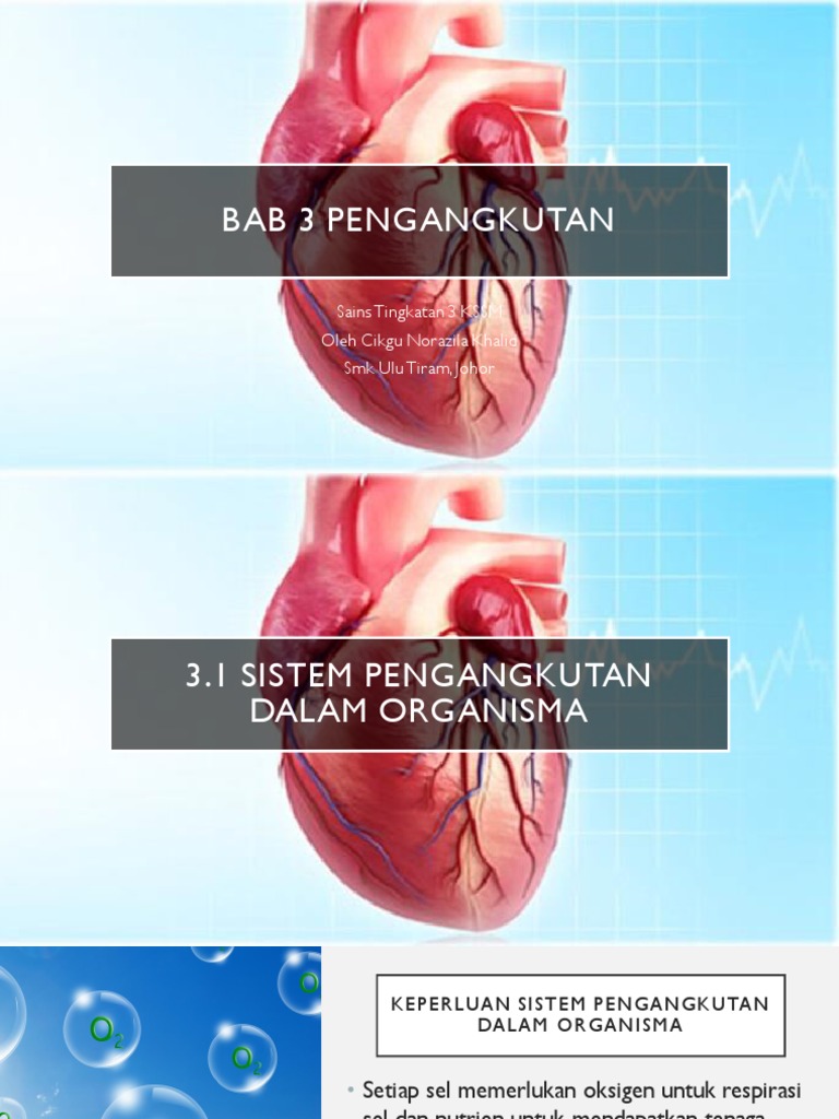Nota SC F3 Bab 3 | PDF