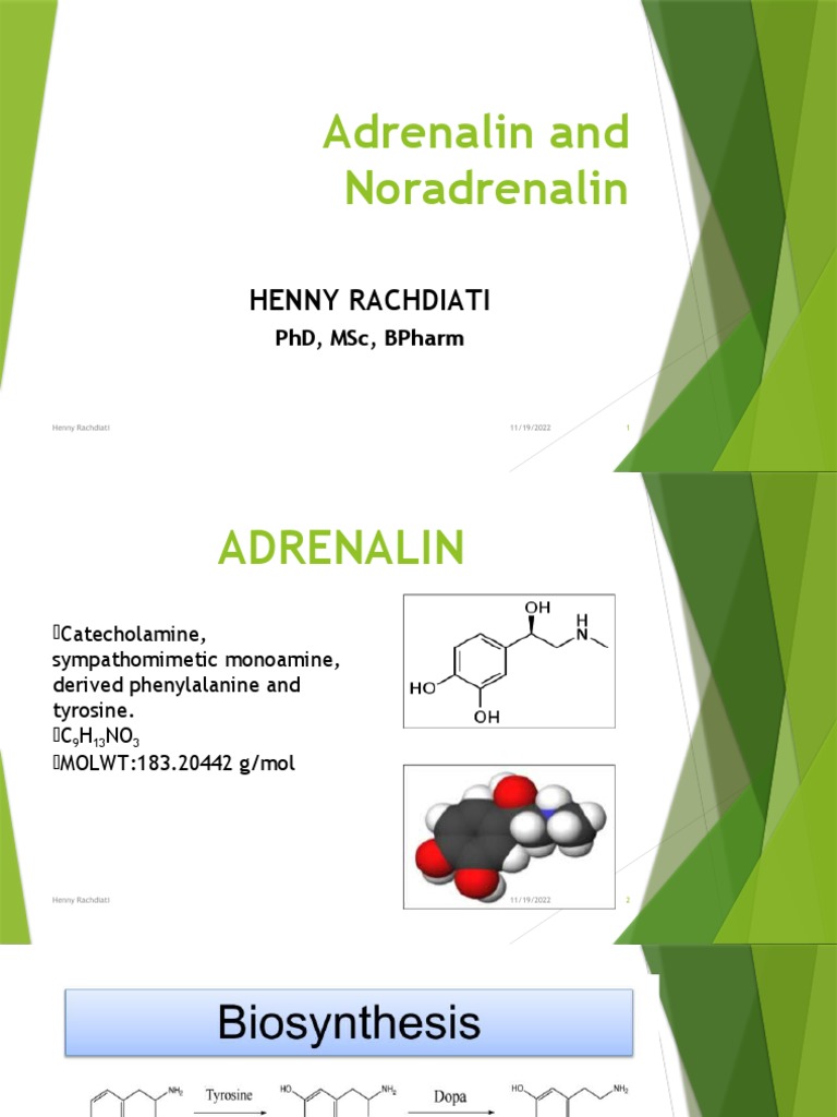 Adrenalin and Noradrenalin | PDF