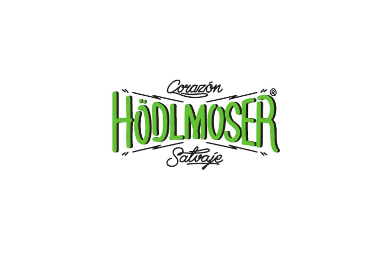 Hödlmoser Logo | PDF