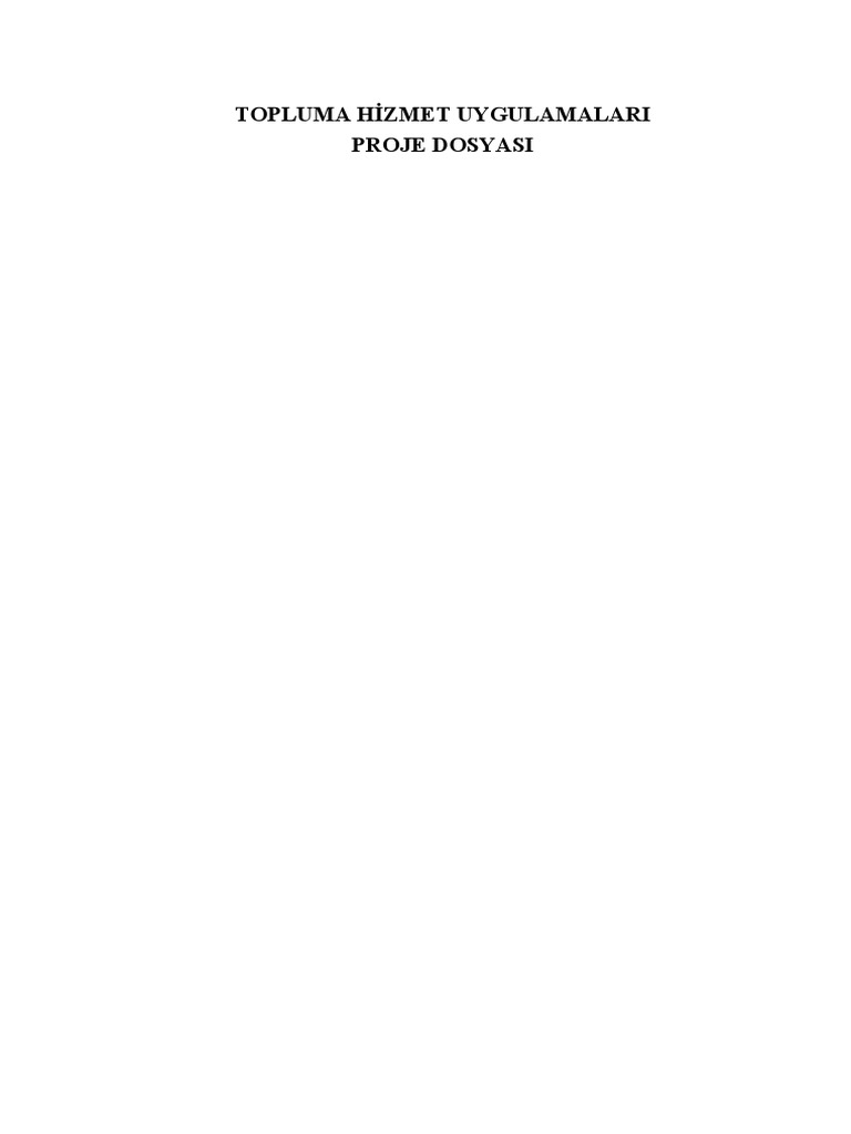 Ek 0. Proje Portfolyo Dosyasi-2 | PDF