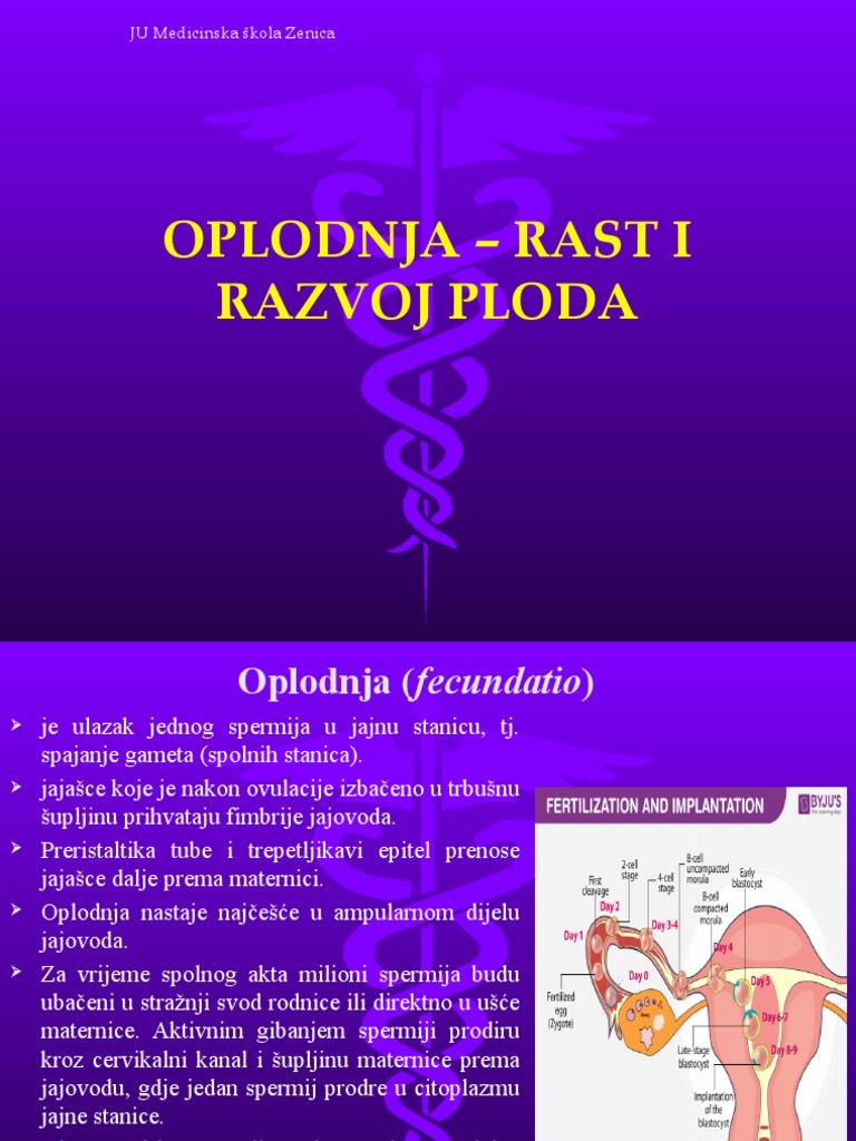 OPLODNJA - RAST I RAZVOJ PLODA - I Dio | PDF