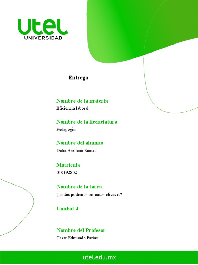 mi vision laboral | PDF