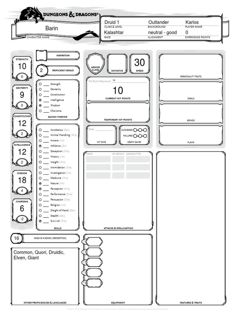 DD Character Sheet 5e Fillable | PDF