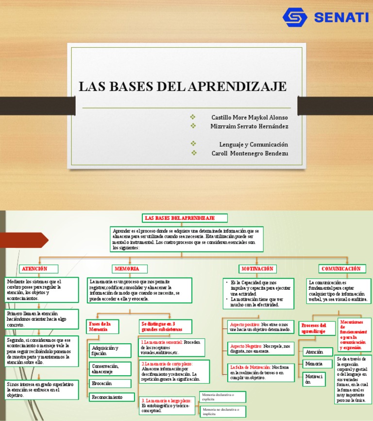 Las Bases Del Aprendizaje | PDF | Memoria | Aprendizaje