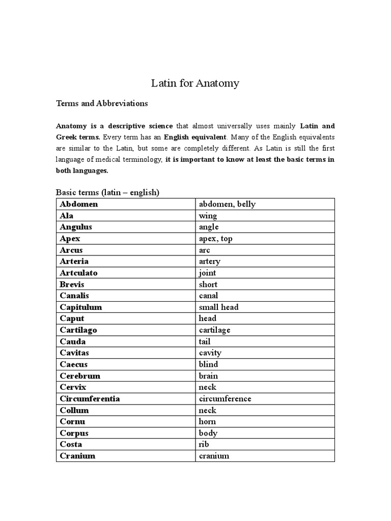 A Comprehensive Introduction to Latin Anatomical Terminology and ...