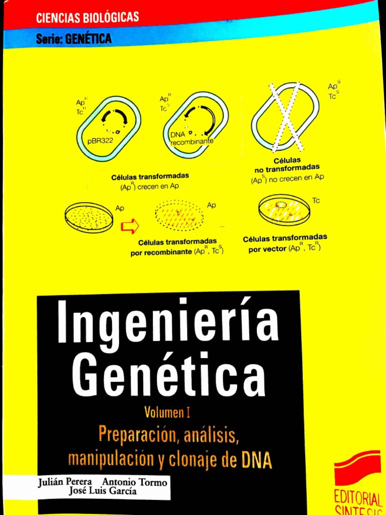 Libro Ing. Genetica Volumen I | PDF