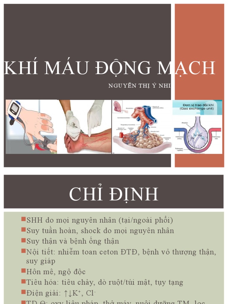 Khí Máu Đ NG M CH 2019 | PDF