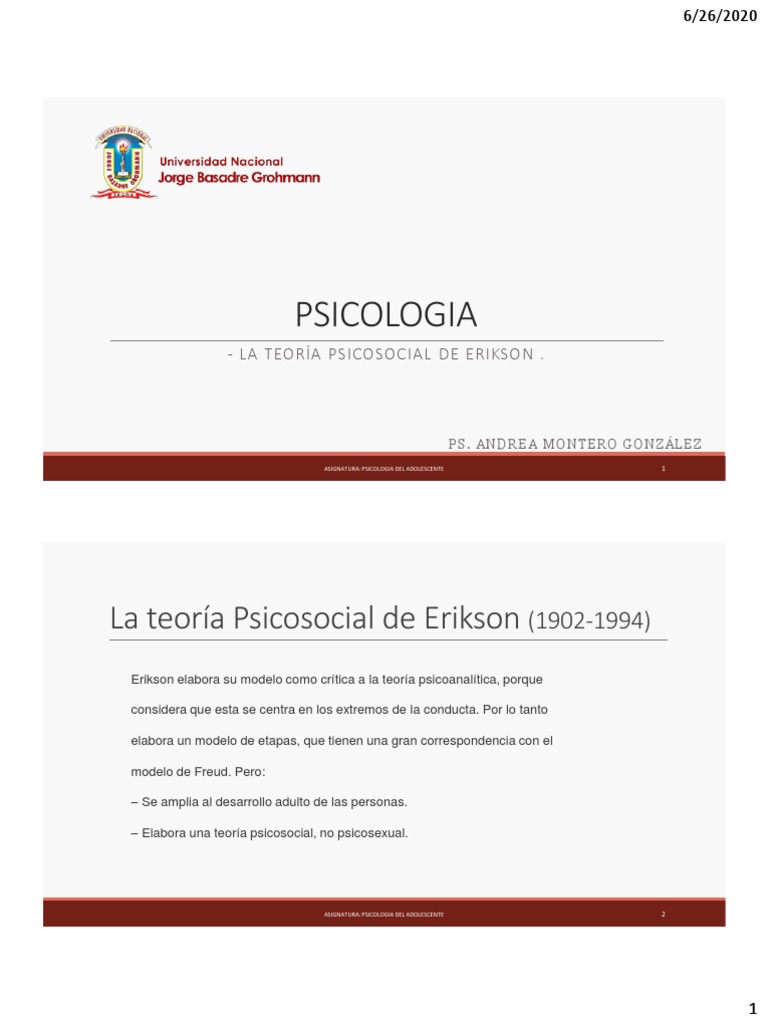 Teoria Psicosocial de Erikson | PDF | Adultos | Desarrollo humano
