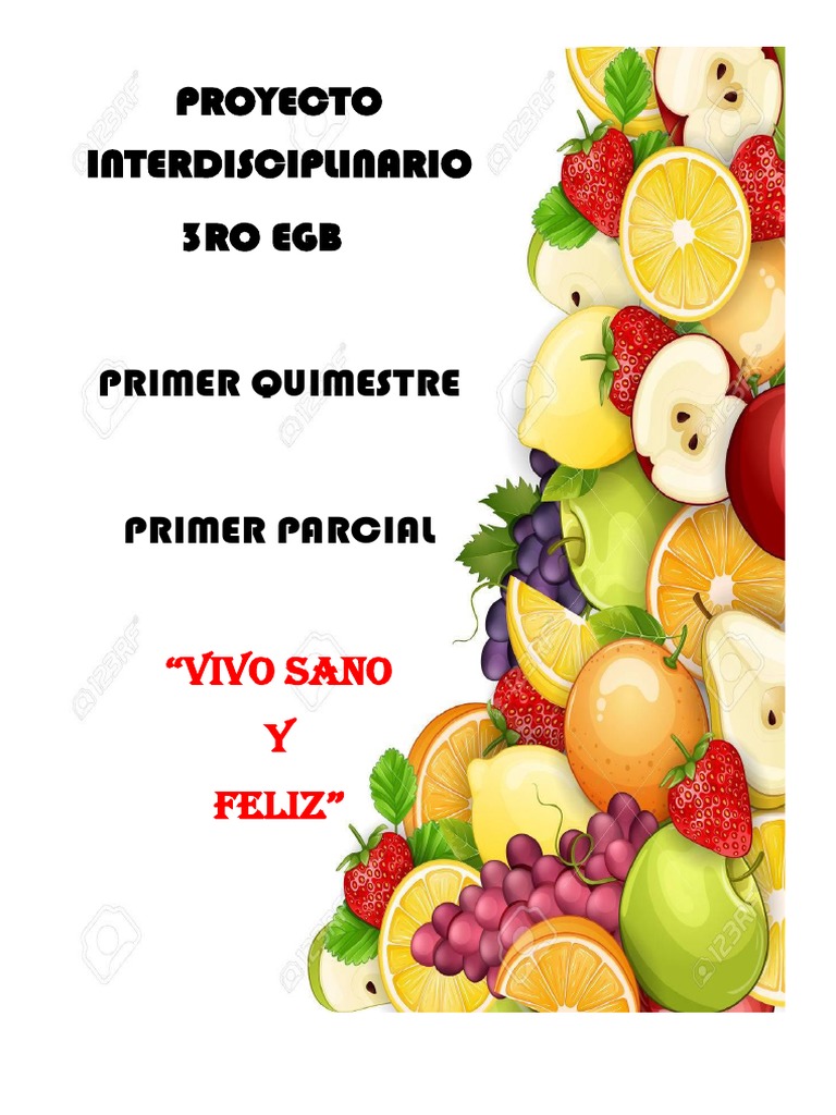Proy. Interd. 1er Parcial 3ro Egb | PDF | Conjunto (Matemáticas ...