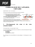 Anatomie des reins et leur vascularisation | PDF | Rein | Foie