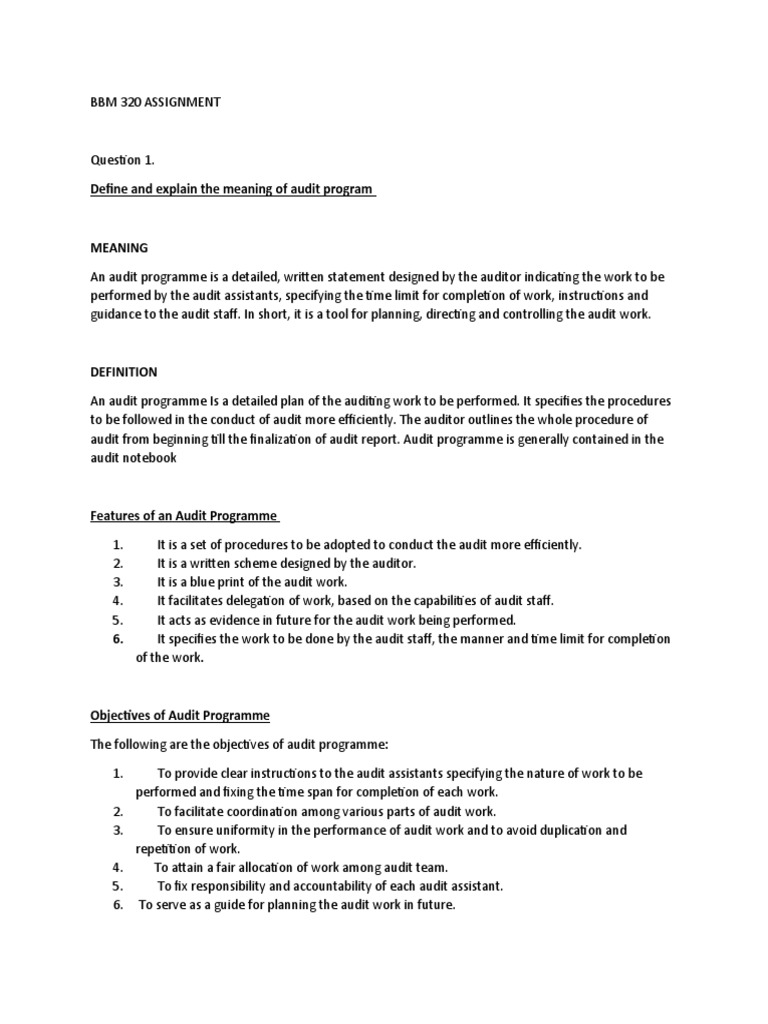 BBM 320 Group Assignment | Download Free PDF | Audit | Depreciation