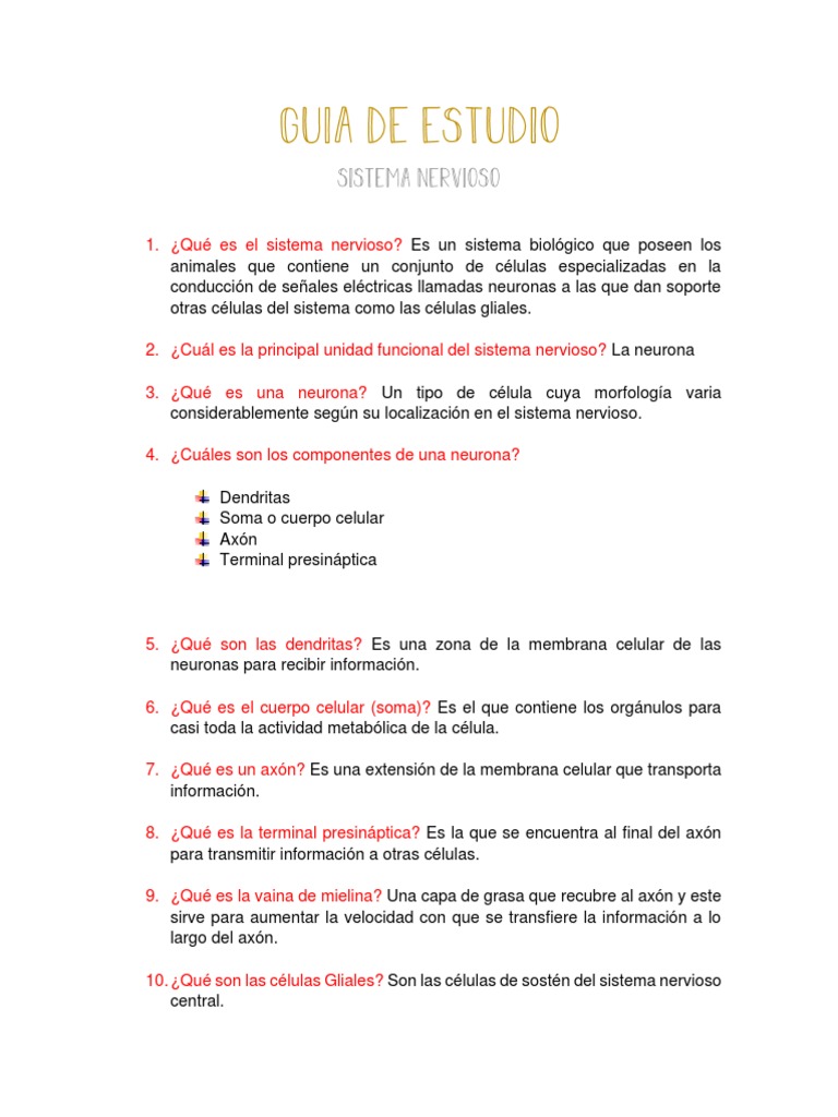 Componentes del Sistema Nervioso | PDF | Ciencia y matemáticas