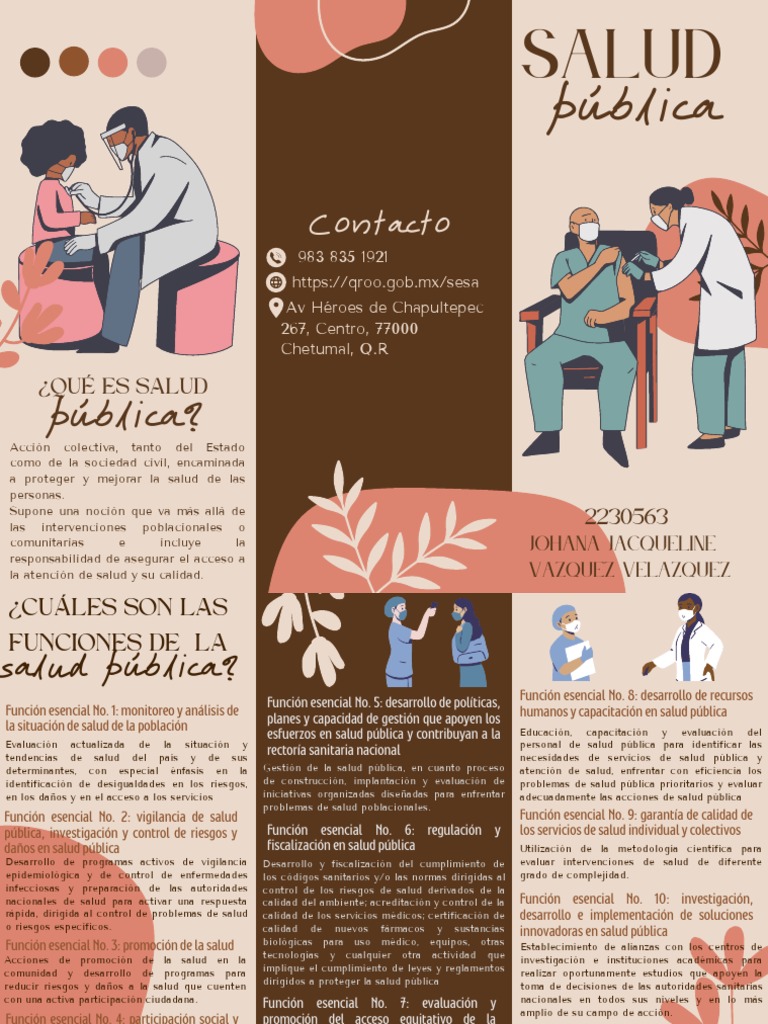 Triptico Saludpública | PDF | Salud pública | Ciencias de la Salud