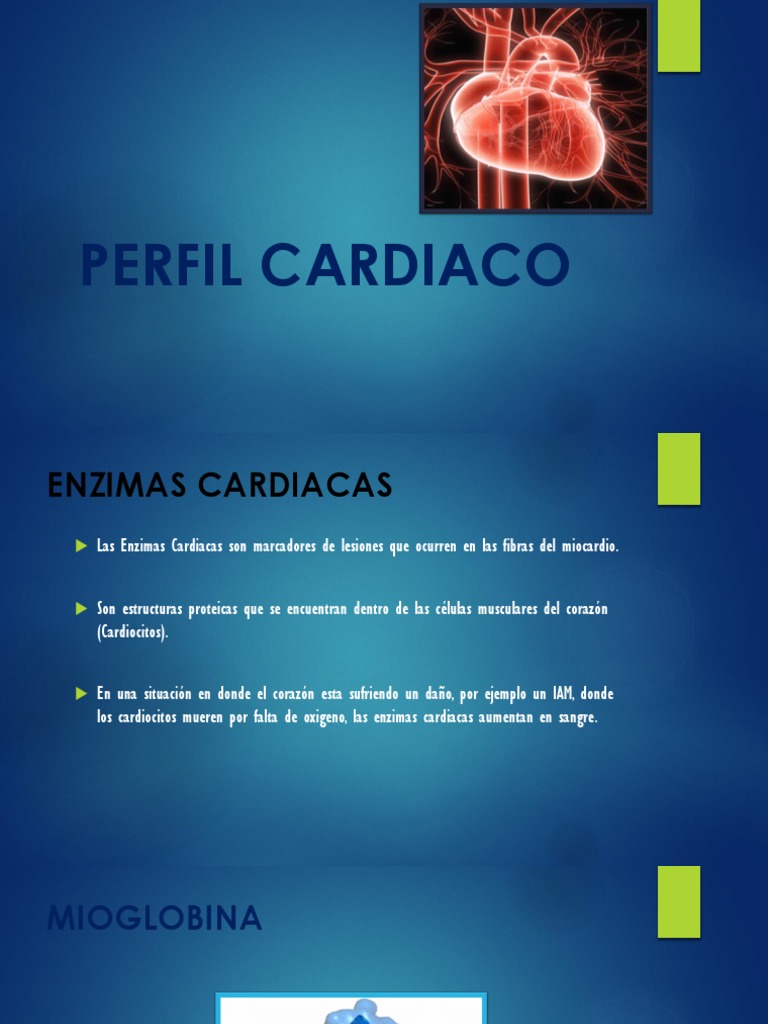Perfil Cardiaco | PDF