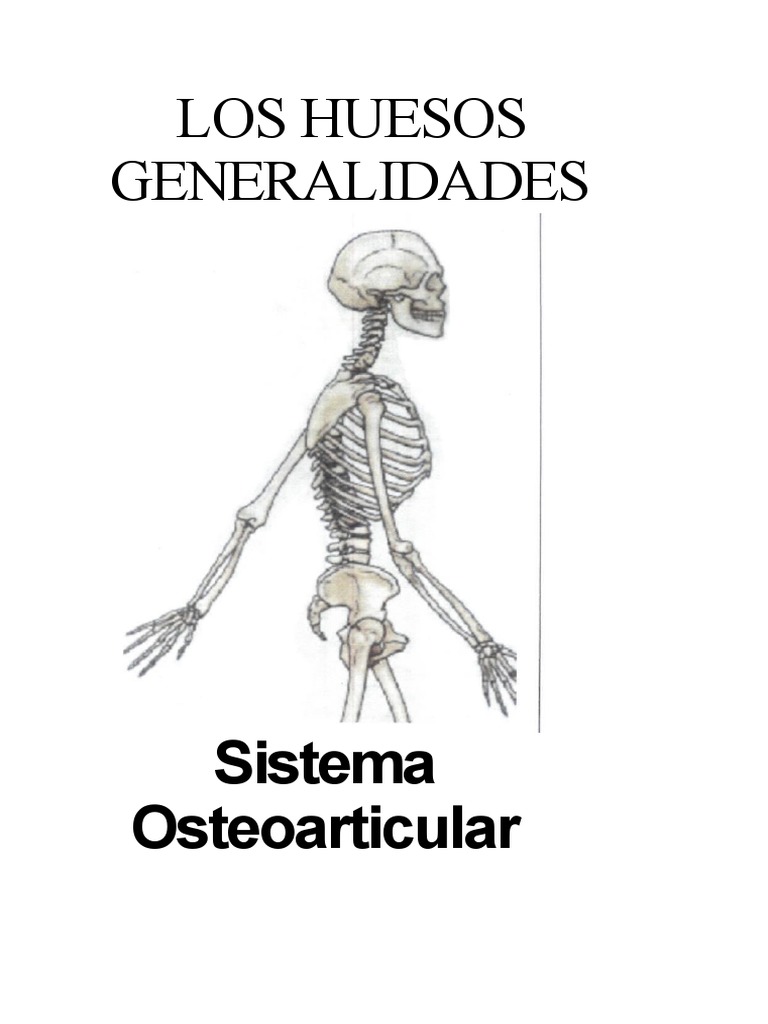 Sistema OsteoArticular | PDF