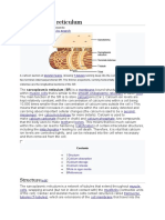 Peripheral Nerve Stimulation Train of Four Monitoring Resource Manual ...