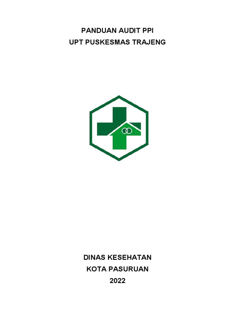 Panduan Audit Ppi | PDF