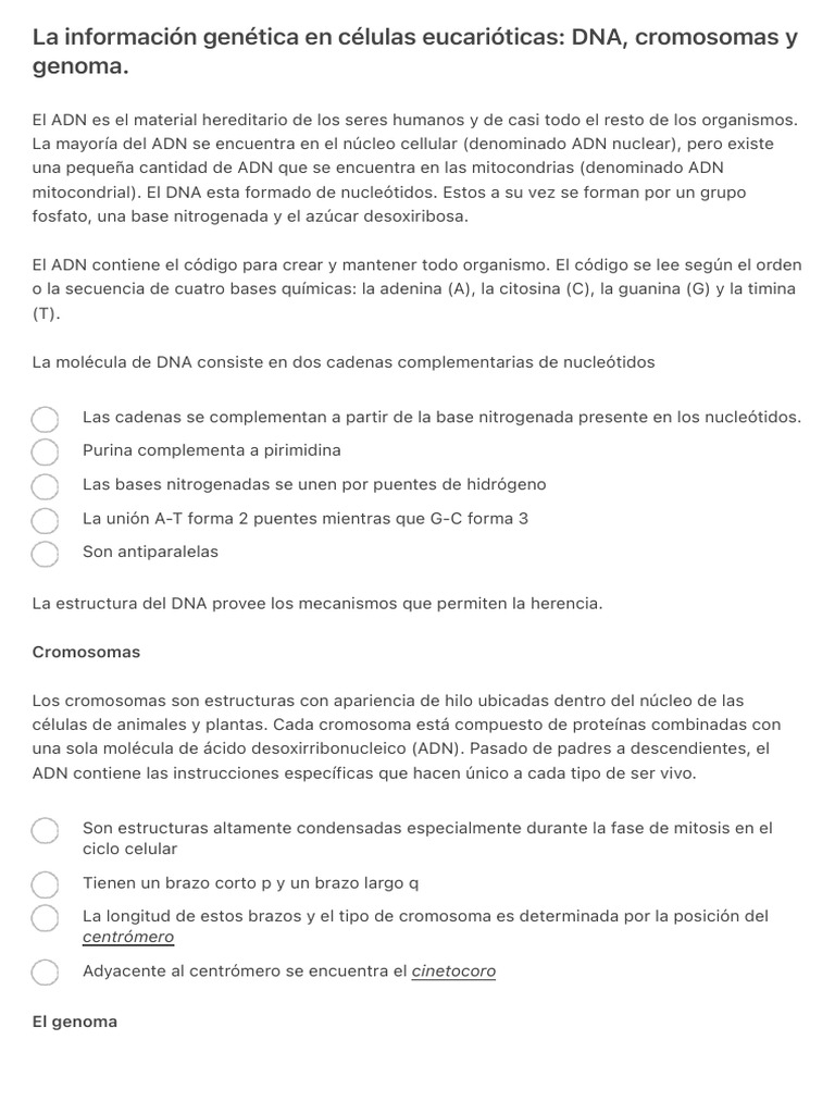 La Información Genética en Células Eucarióticas DNA, Cromosomas y | PDF