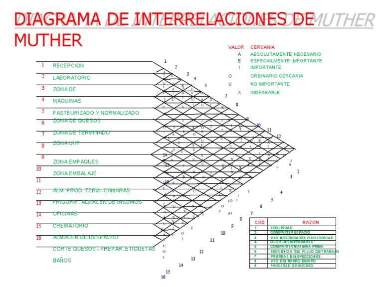Diagrama de Interrelaciones de Muther | PDF