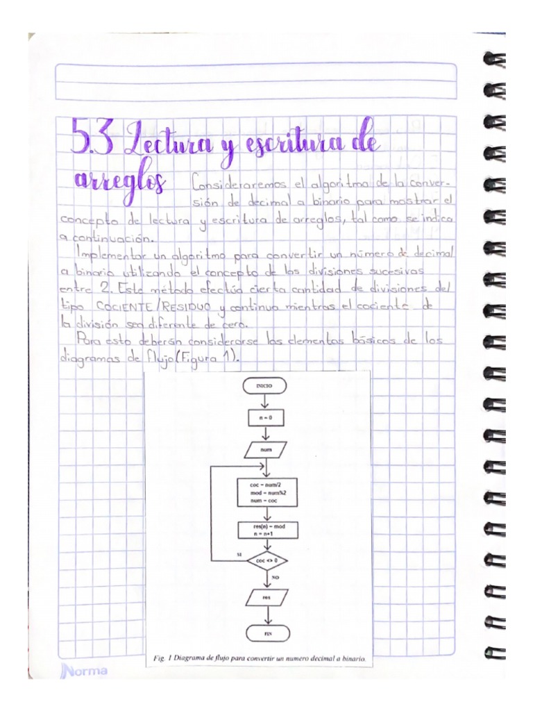 5.3 Lectura Y Escritura de Arreglos | PDF