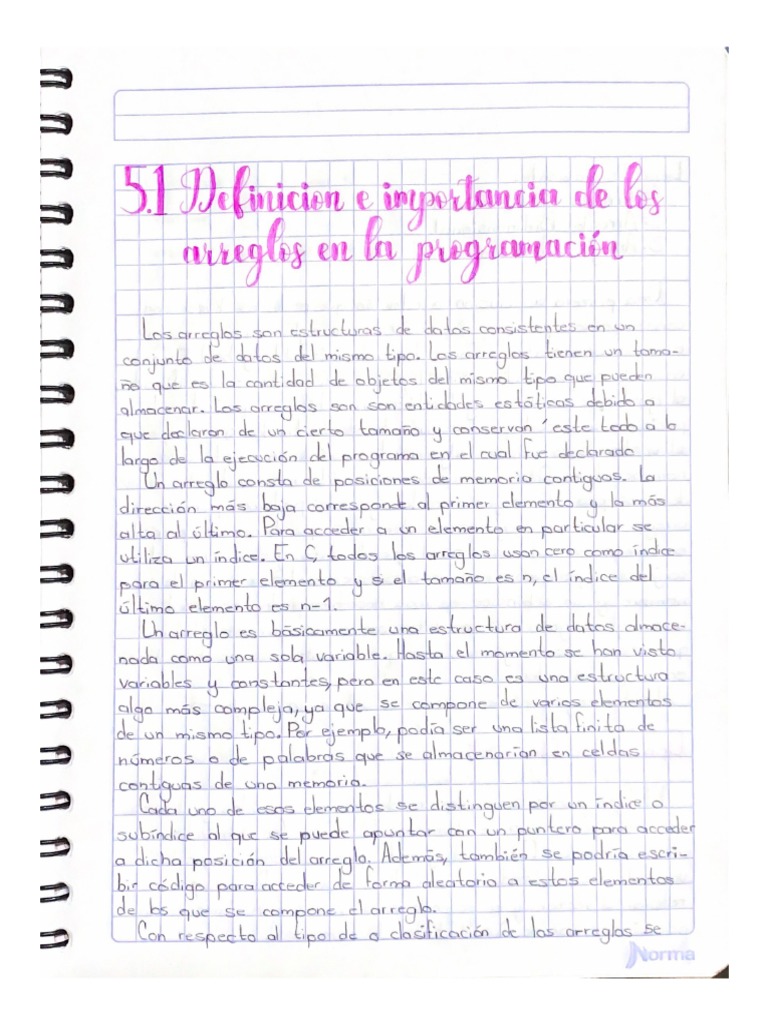 5.1 Definición E Importancia De Los Arreglos En La Programación | PDF