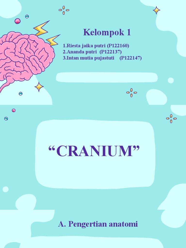 Anatomi Cranium dan Os Zygomatica | PDF | Kesehatan Holistik | Sains & Matematika