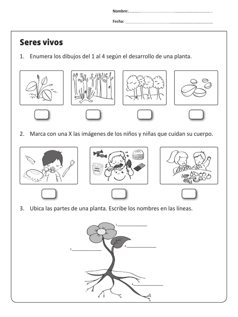 Eval CCNN Naturales 1 | PDF