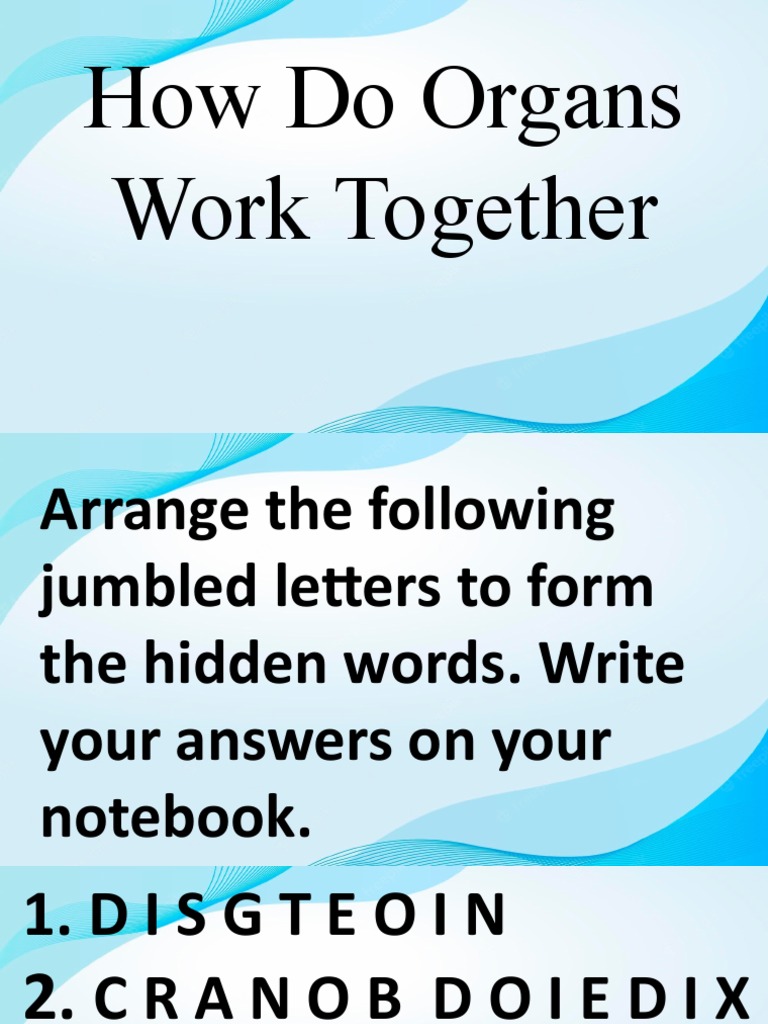 How Do Organs Work Week 2 | PDF | Human Body | Heart