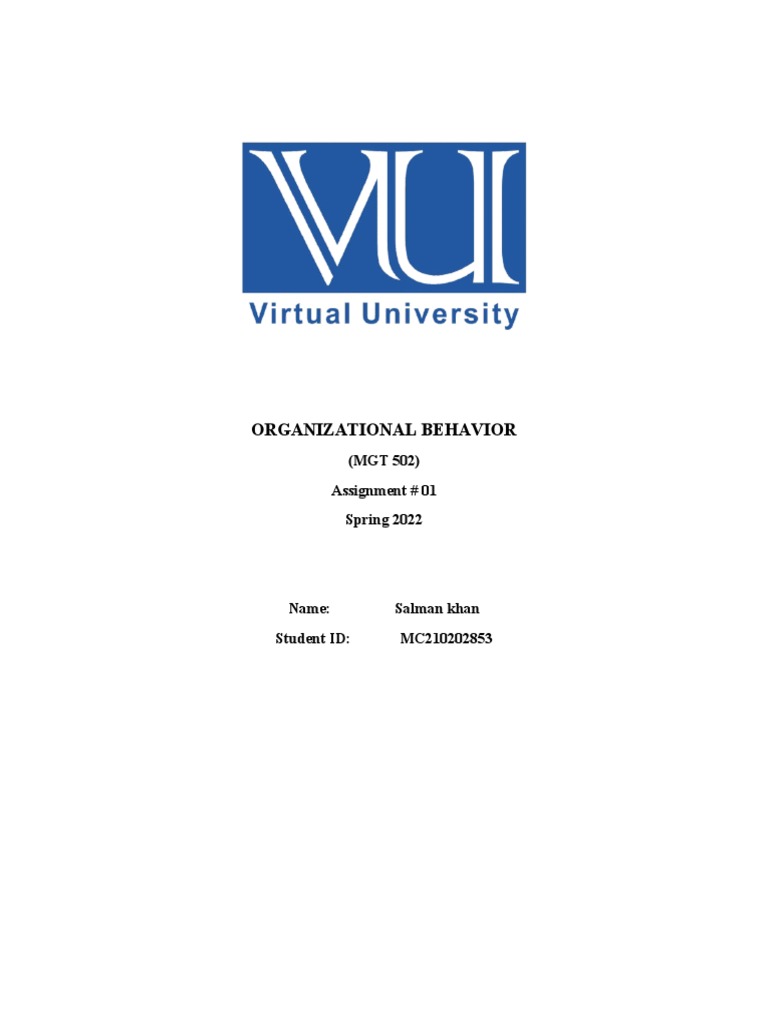 MGT 502 Assignment 1 | PDF