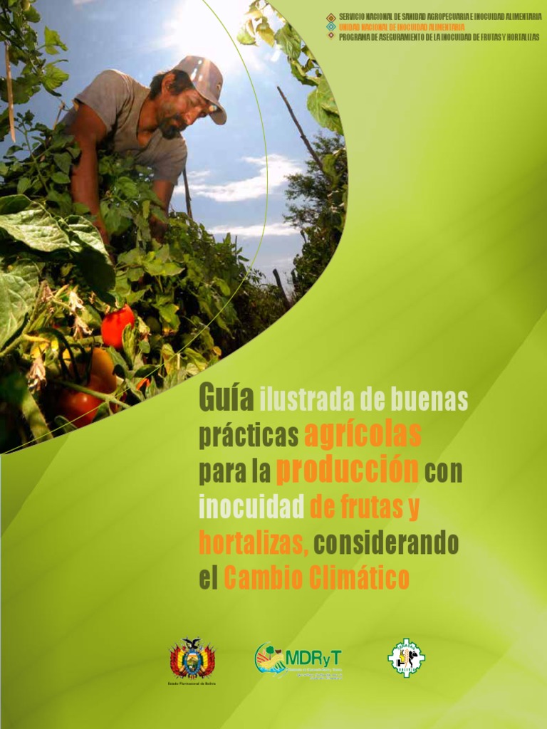 Manual Ilustrado Buenas Practicas Agricolas para Producir Con Inocuidad ...