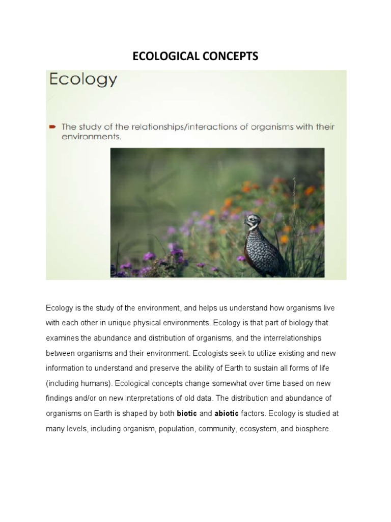 Lecture 1 | PDF | Ecosystem | Ecology