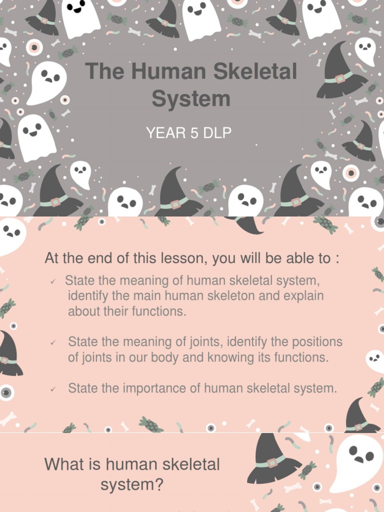 The Human Skeletal System | PDF | Skeleton | Joint