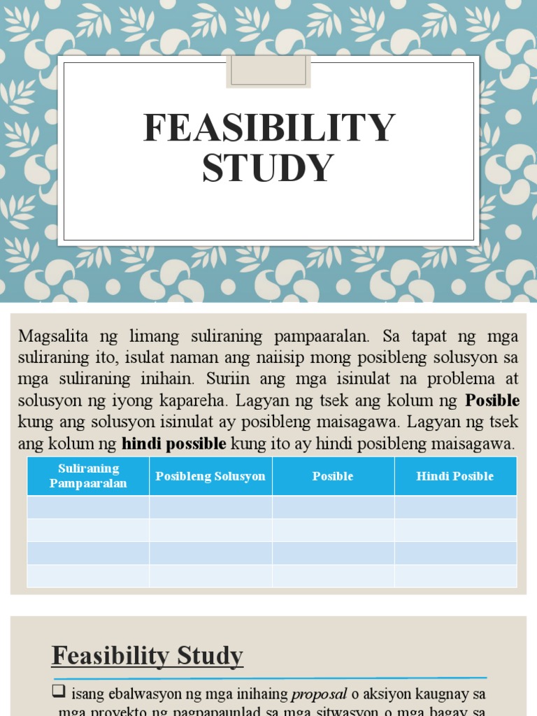 Feasibility Study | PDF