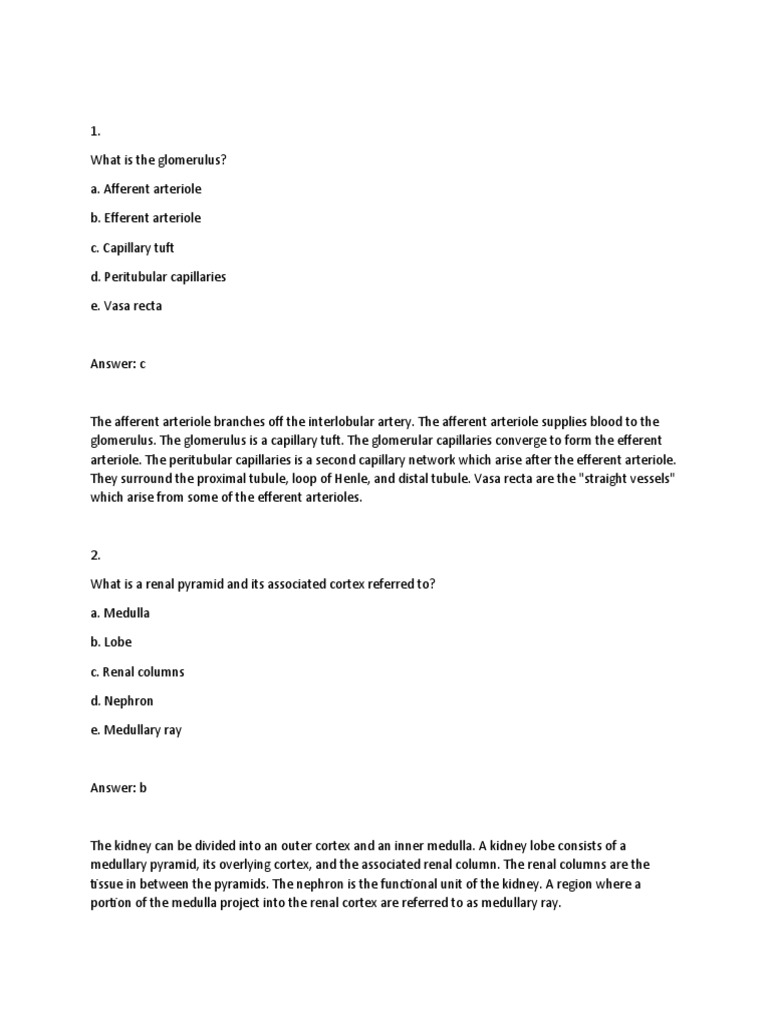 Histoworld GUT | PDF | Foreign Language Studies