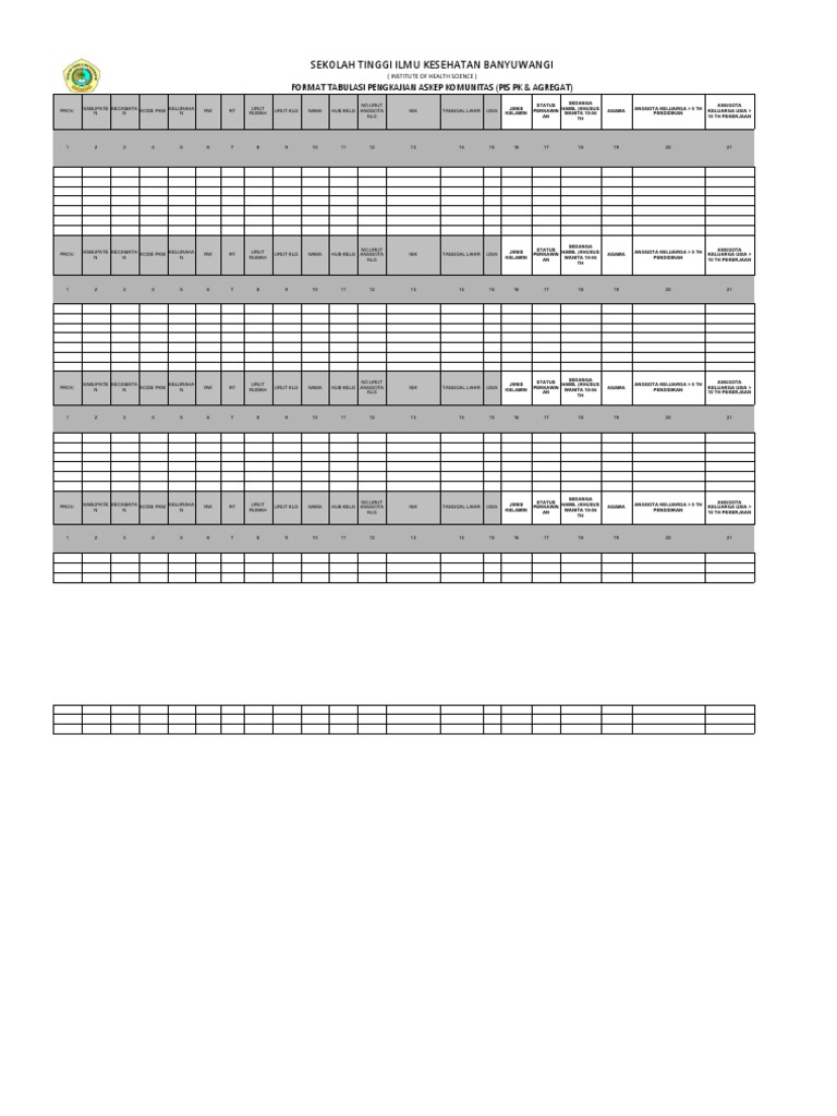 Format PIS PK Dan Agregat Stikes Banyuwangi Paling FIX | PDF