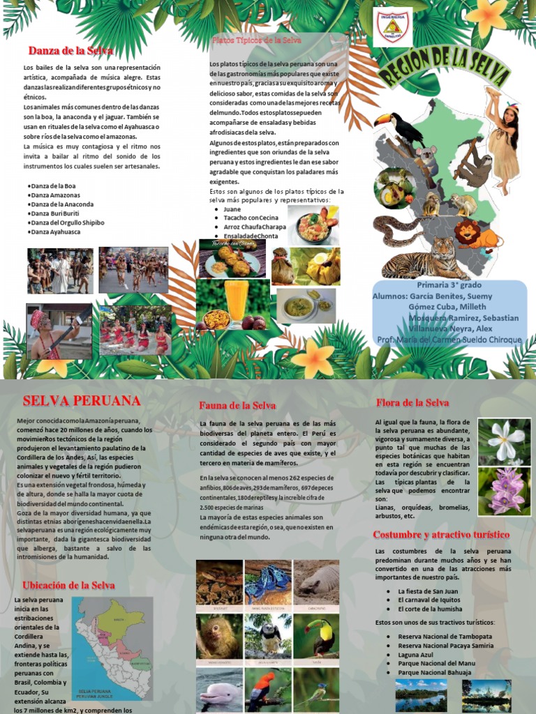 Triptico de La Selva | PDF | Selva amazónica | Perú