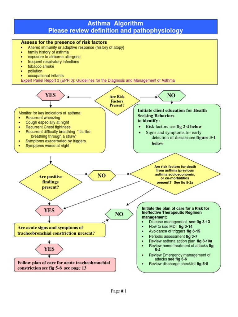 Asthma Algorithm | Asthma | Hypoxia (Medical)