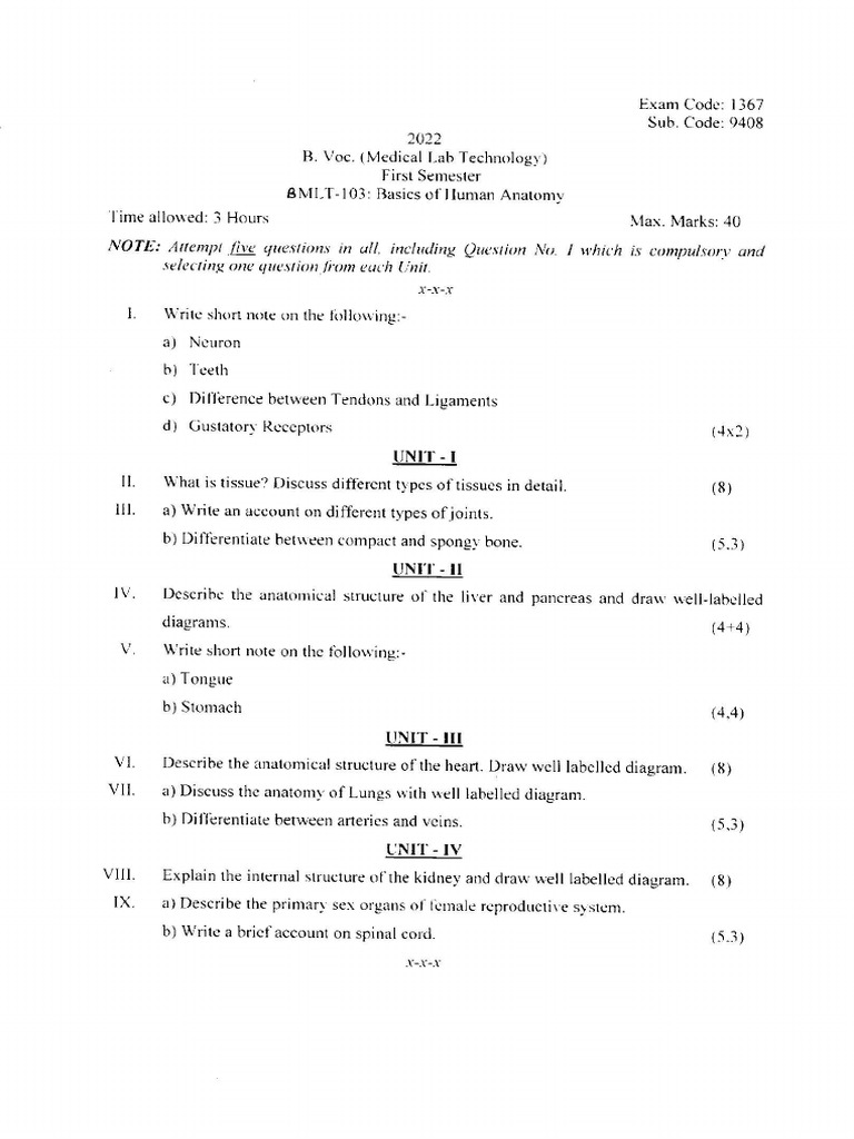 9408 Basic of Human Anatomy | PDF