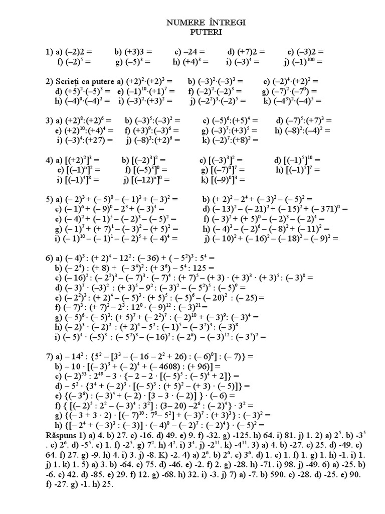 Numere - Intregi - Exercitii Cu Puteri | PDF