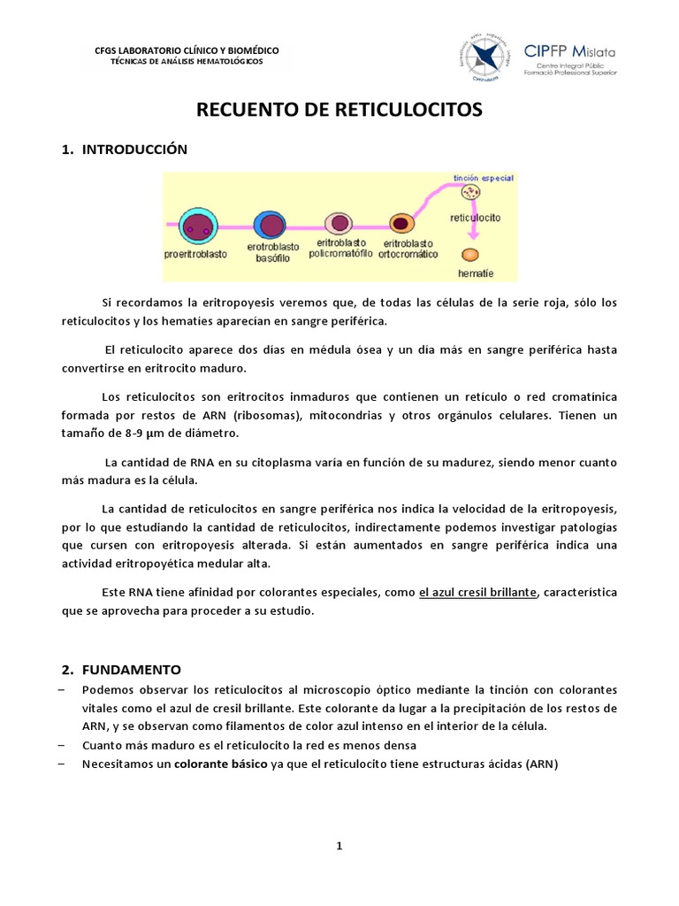 Recuento Reticulocitos | PDF | Fluidos corporales | Especialidades Medicas