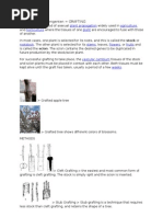 Asexual Propagation by Inarching | PDF | Grafting | Trees