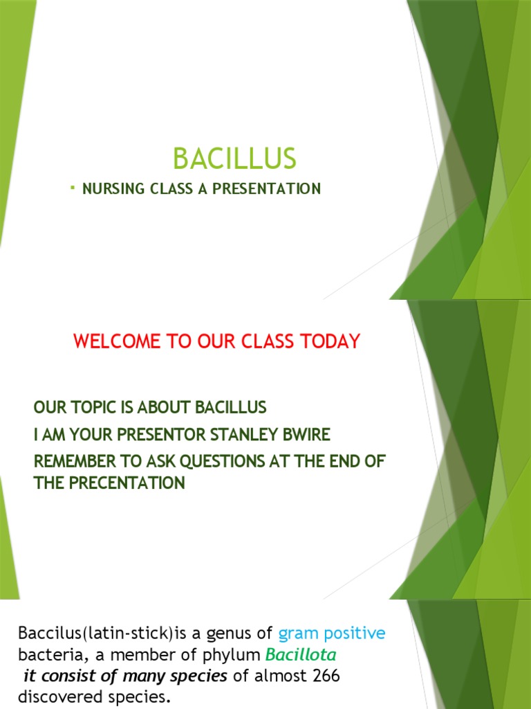 Bacillus Powerpoint Presentation Class A | PDF | Bacillus | Microbiology