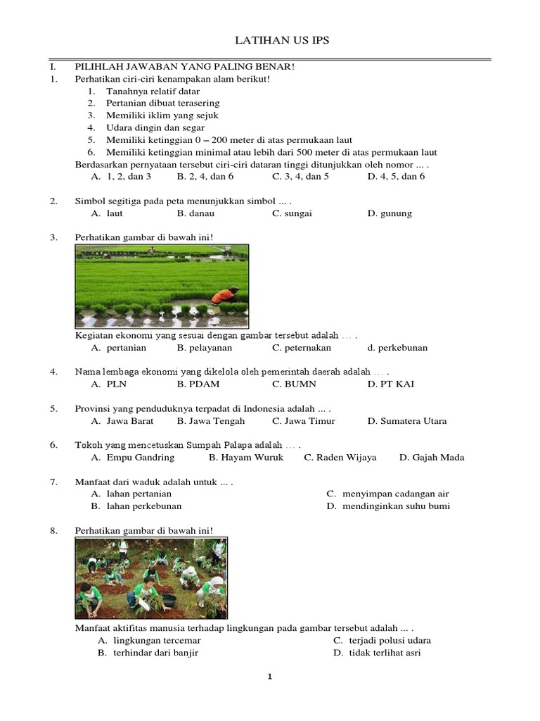Latihan Us Ips | PDF